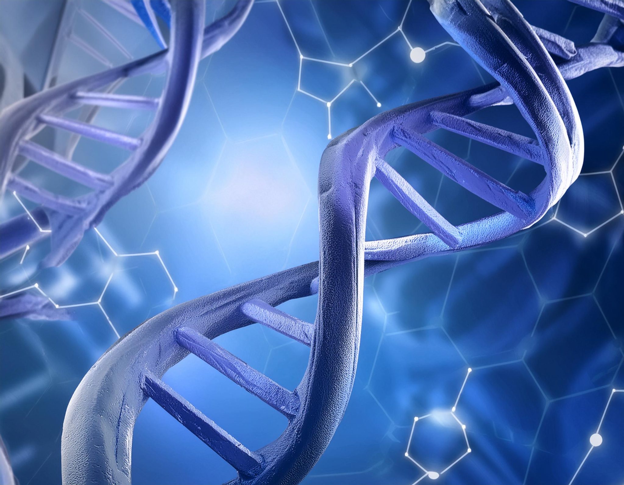 Actualidad - FIFARMA